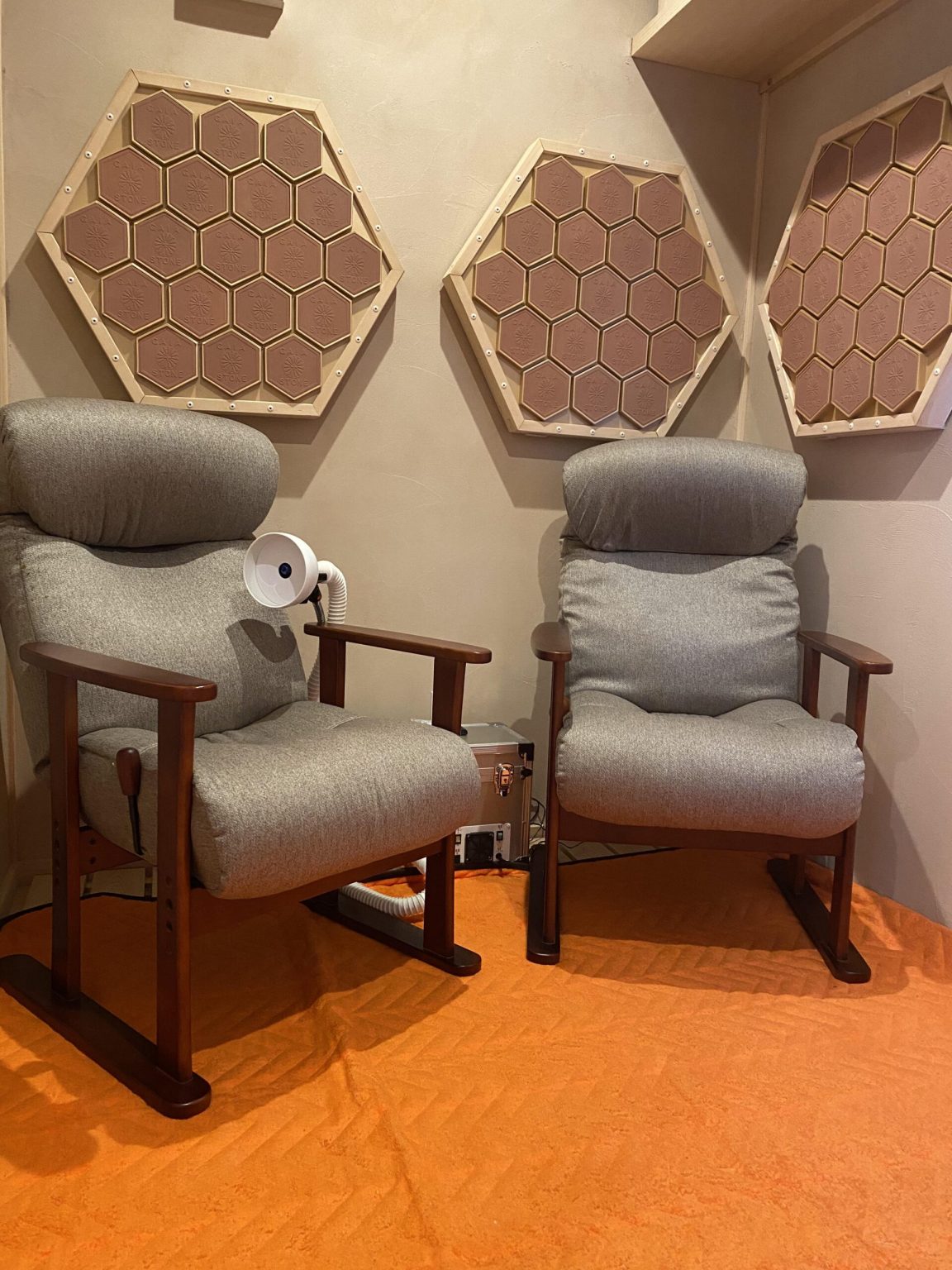 ホルミシスについて – 大泉ホルミシスウェルネスサロン